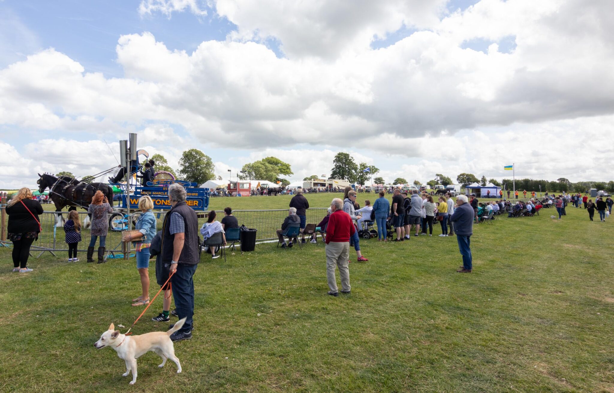 Organisers Ban Dogs from Popular Event: Our Hands Are Tied ...