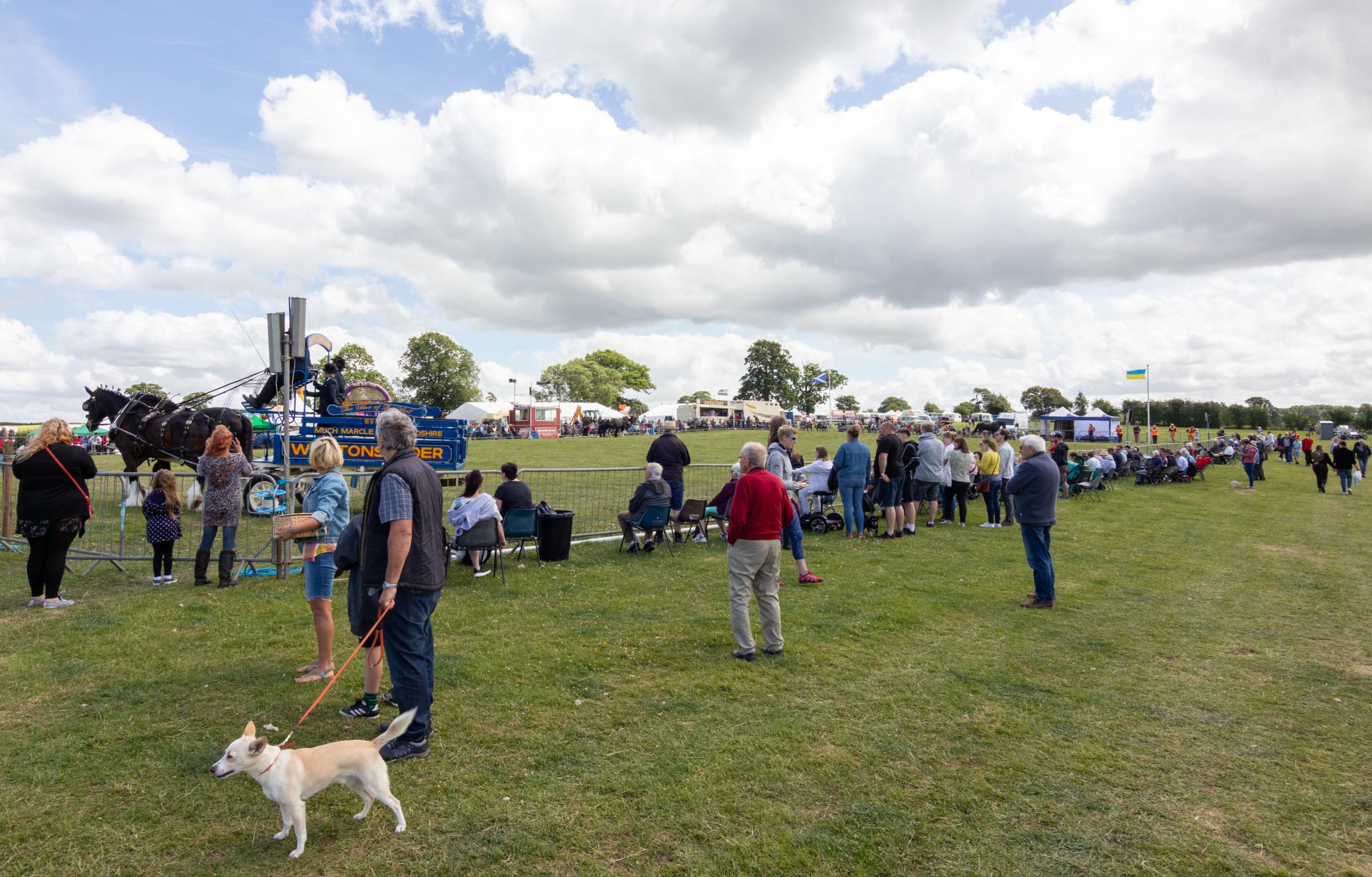 Organisers Ban Dogs from Popular Event: Our Hands Are Tied ...